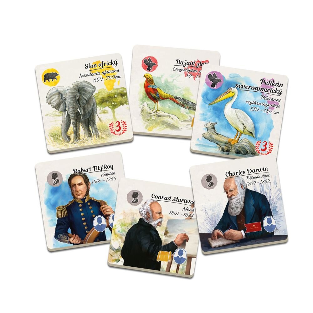 Dino PO STOPÁCH DARWINA Rodinná hra - Pompo.cz - Hračky online